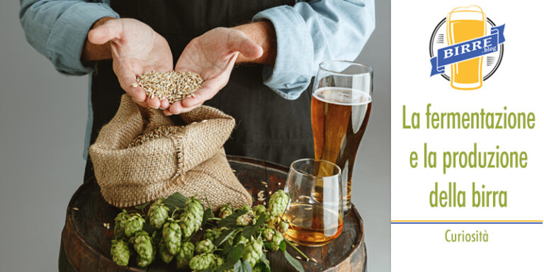 La fermentazione e la produzione della birra - Curiosità e recensioni ...